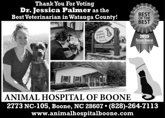 Best Veterinarian in Watauga County!, Animal Hospital of Boone, Boone, NC